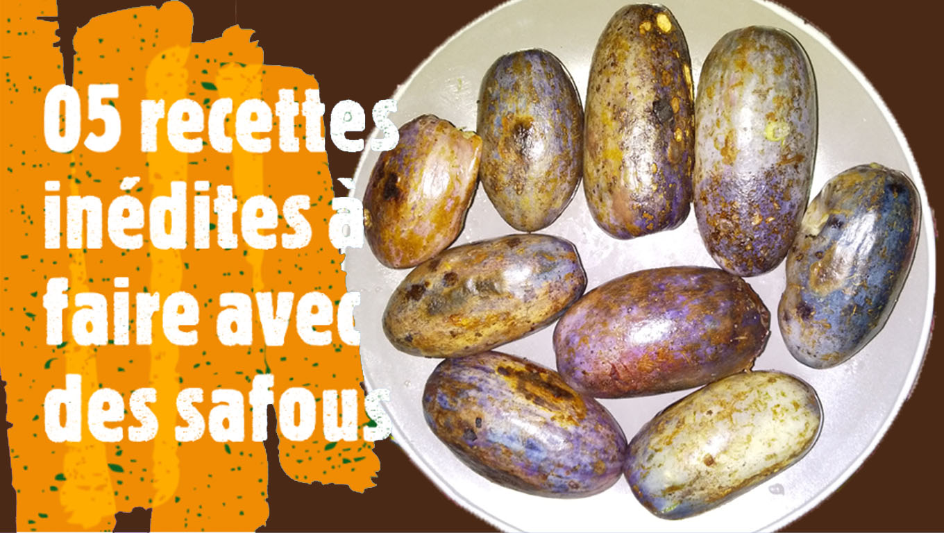 Cinq recettes inédites à faire avec des safous - Voyage en hauteur ...